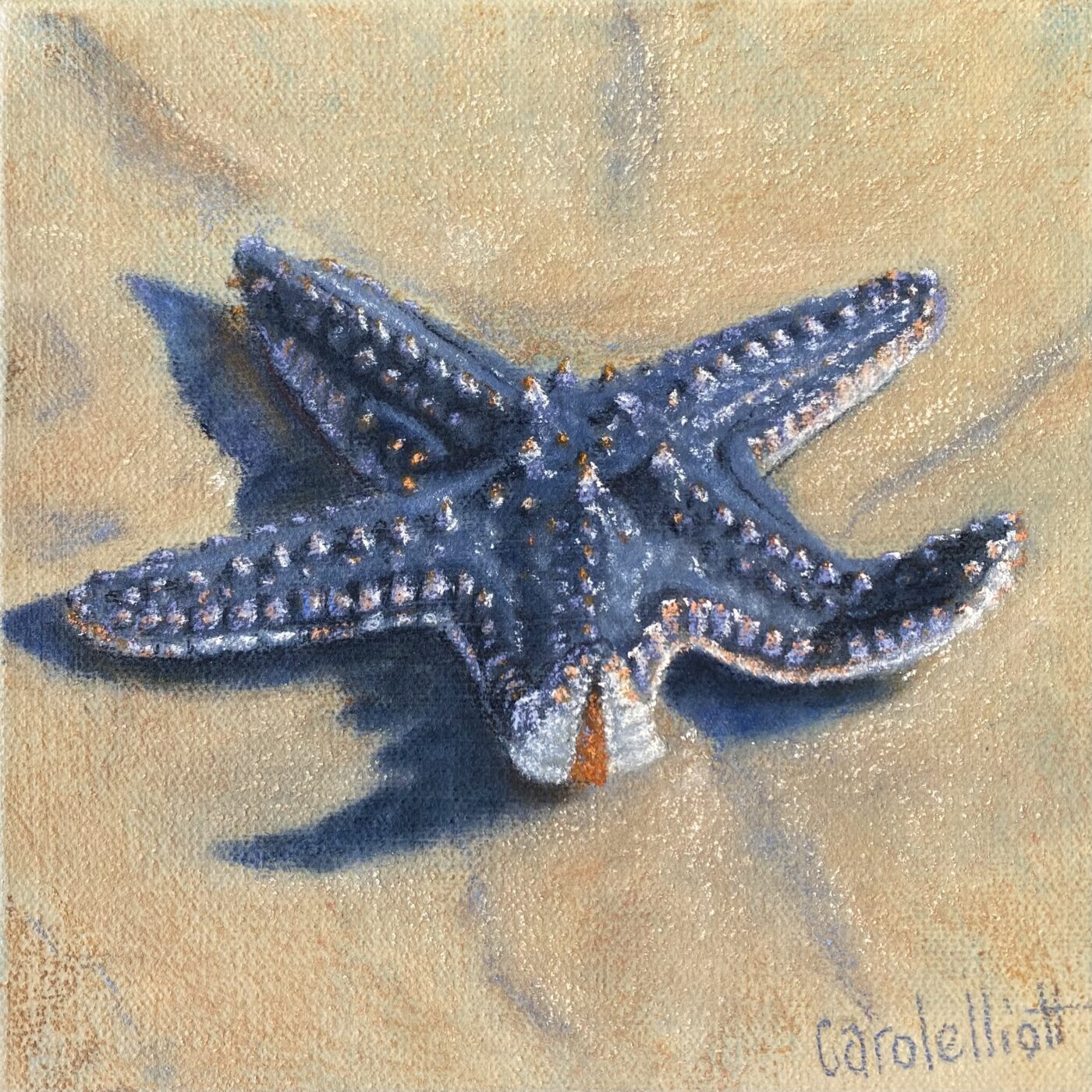 The Starfish | 8x8 To Educate