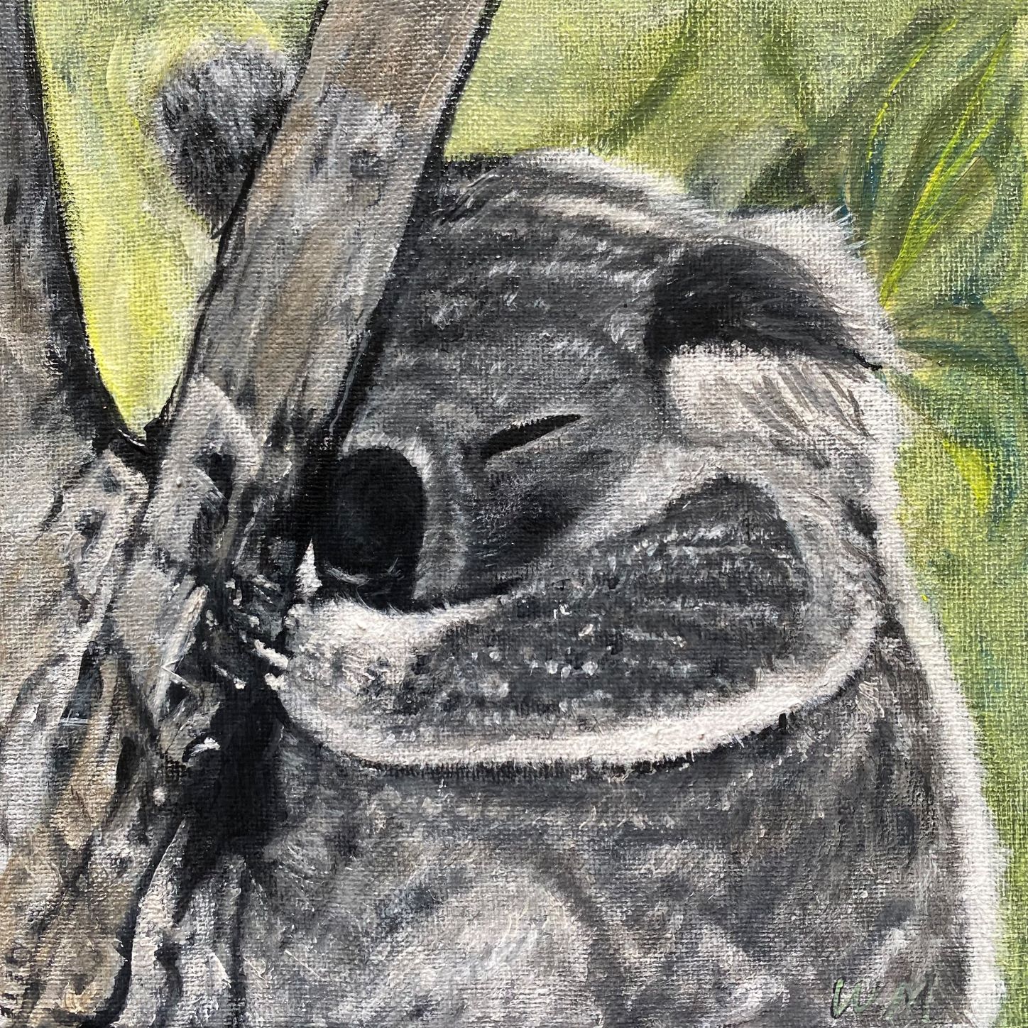 Snoozing Koala | 8x8 To Educate